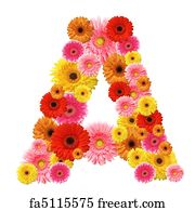 Flower Letters Prints and Wall Art | FreeArt