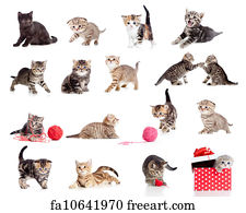 Free Kittens Art Prints and Wall Artwork | FreeArt