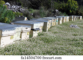 Free art print of The Apiary by Isaac Levitan | FreeArt | fan45720185