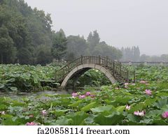 Free art print of Water Lilies and Japanese Bridge by Claude Monet. Le ...