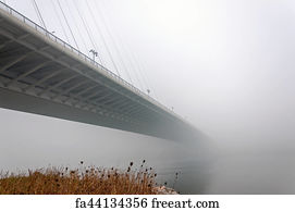 Free art print of Bridge in fog. Wooden bridge engulfed by dense fog ...