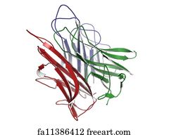 Free art print of Chemical structure of tumor necrosis factor (TNF ...
