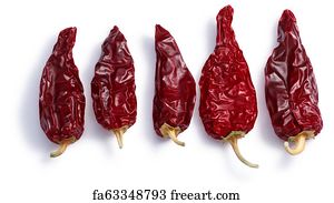 Free A Ripe Dried Anaheim Pepper Clipping Paths Art Prints and Artworks ...