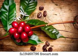 Free Coffee Art Prints and Artworks | FreeArt