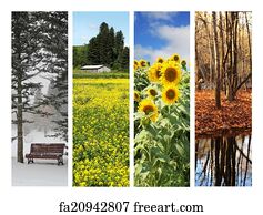 Free art print of Four Seasons Collage. Four seasons concept with ...