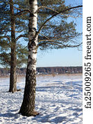 Free art print of Early Spring. Thaw by Alexey Savrasov | FreeArt ...