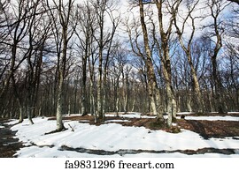 Free art print of Early Spring. Thaw by Alexey Savrasov | FreeArt ...