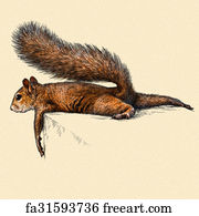 Free Squirrel Art Prints and Artwork | FreeArt