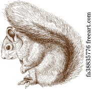 Free Squirrel Art Prints and Artwork | FreeArt