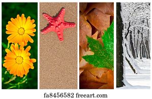 Free art print of Four Seasons Collage. Four seasons concept with ...