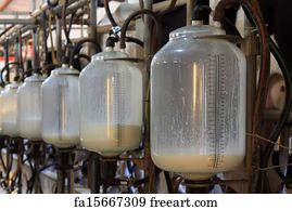 Free art print of Glass milk storage tank in a milking workshop. Glass ...