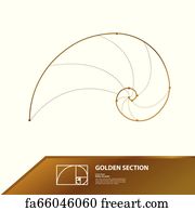 Free art print of Golden ratio vector illustration. Golden ratio for ...