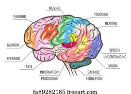 Free art print of Brain function | FreeArt | fa20921982
