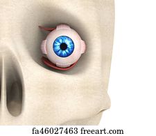 Free 3D Illustration Eyes Anatomy Art Prints and Artworks | FreeArt