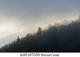 Free art print of Newfound Gap in the Smoky Mountains. Newfound Gap in ...