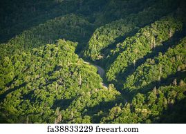 Free art print of Newfound Gap in the Smoky Mountains. Newfound Gap in ...