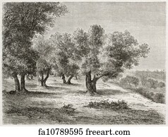 Free art print of Olive's branch. Olive's branch, watercolor ...