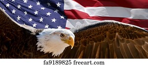 Free art print of Patriotic eagle portrait. Closeup of a bald eagle ...