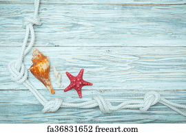 Free art print of Sea shells and rope on old boards. Sea shells and ...