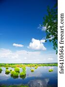 Free art print of Spring Flood by Isaac Levitan. 1897. Oil on canvas ...