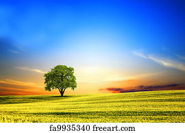 Free Oak Tree Art Prints and Artworks | FreeArt
