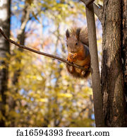 Free Squirrel Art Prints and Artwork | FreeArt