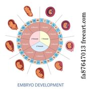 Free art print of 5 stages of human evolution cartoon. 5 stages of ...