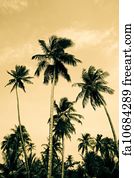 Free Sepia Art Prints and Artwork | FreeArt