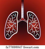 Free art print of Common bacteria infecting human. Accurate description ...