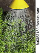 Free art print of A Girl with a Watering-Can by Pierre-Auguste Renoir ...