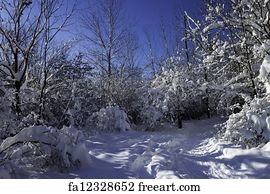 Free Winter Scene Art Prints and Artworks | FreeArt